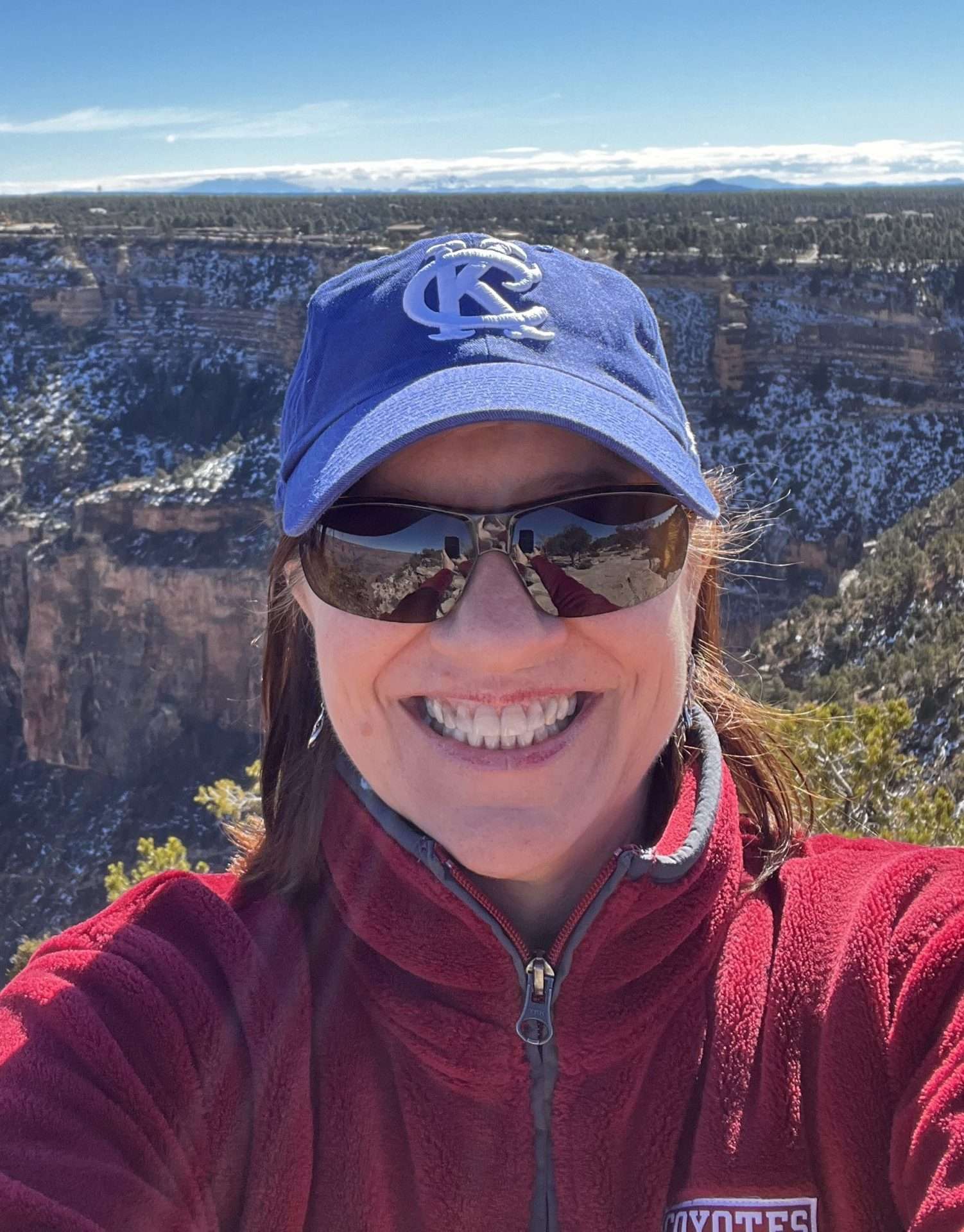 AZBBA Newsletter - November 2022 | Delta Business Advisors